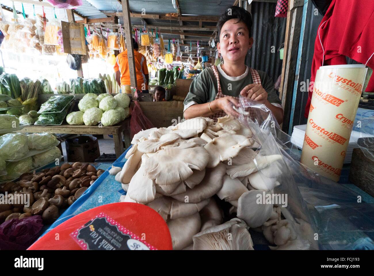 Female vendor packing mushrooms, Kundasang Highlands, Sabah, Malaysia ...