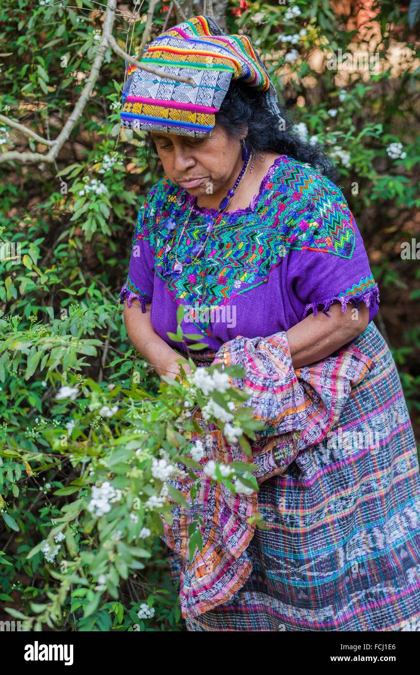 Mayan woman collecting herbs Stock Photo - Alamy