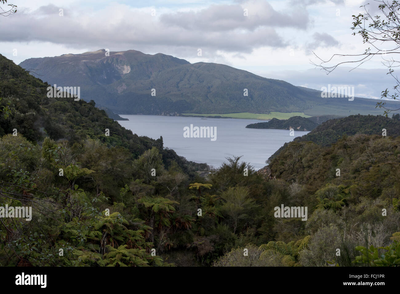 Tarawera vulkan hi-res stock photography and images - Alamy