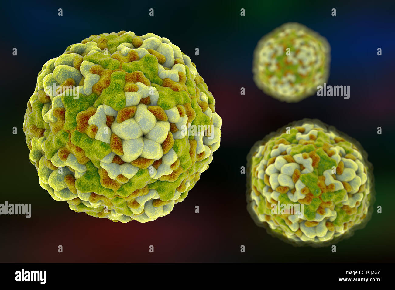 Enterovirus d68 hi-res stock photography and images - Alamy