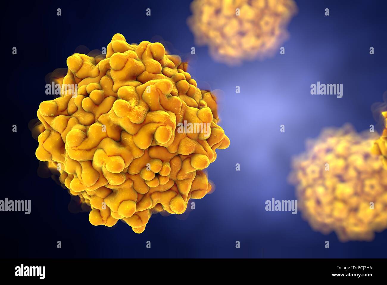 Aav virus hi-res stock photography and images - Alamy