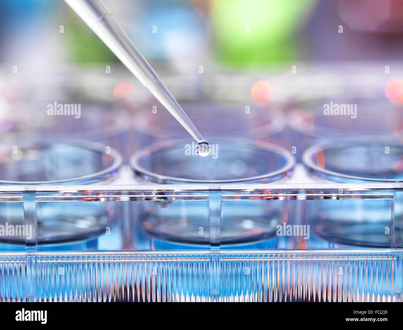 PROPERTY RELEASED. Pipetting sample into multiwell plate for analysis ...