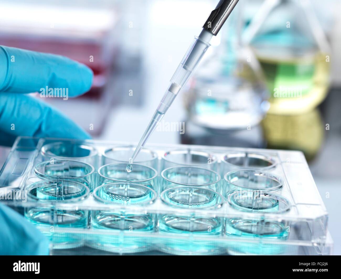Scientist pipetting sample into multiwell plate for analysis Stock ...