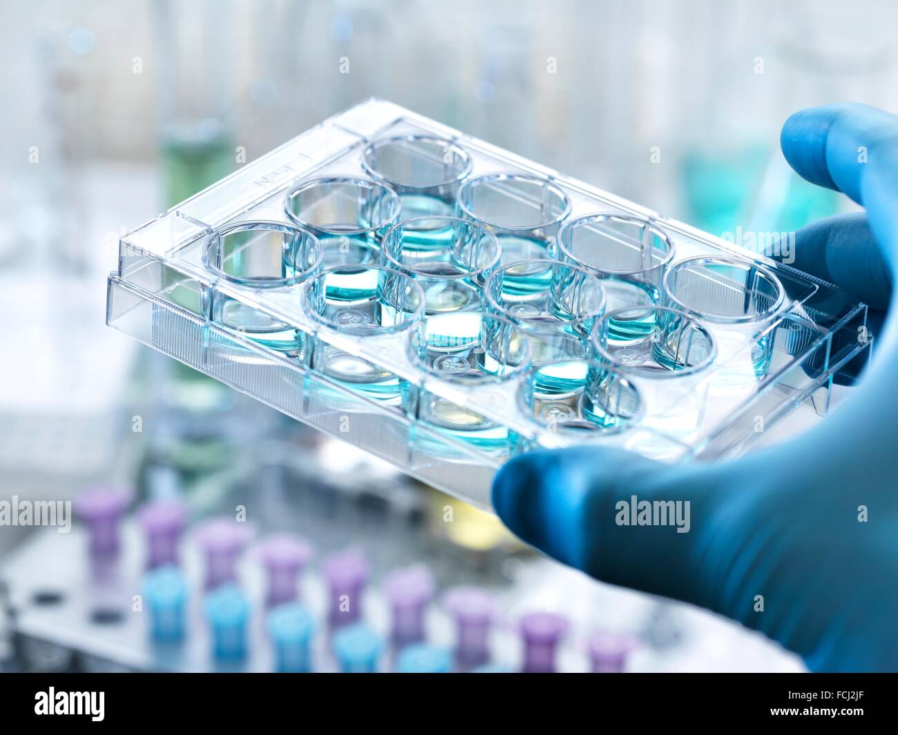 Scientist multiple test tubes hi-res stock photography and images - Alamy