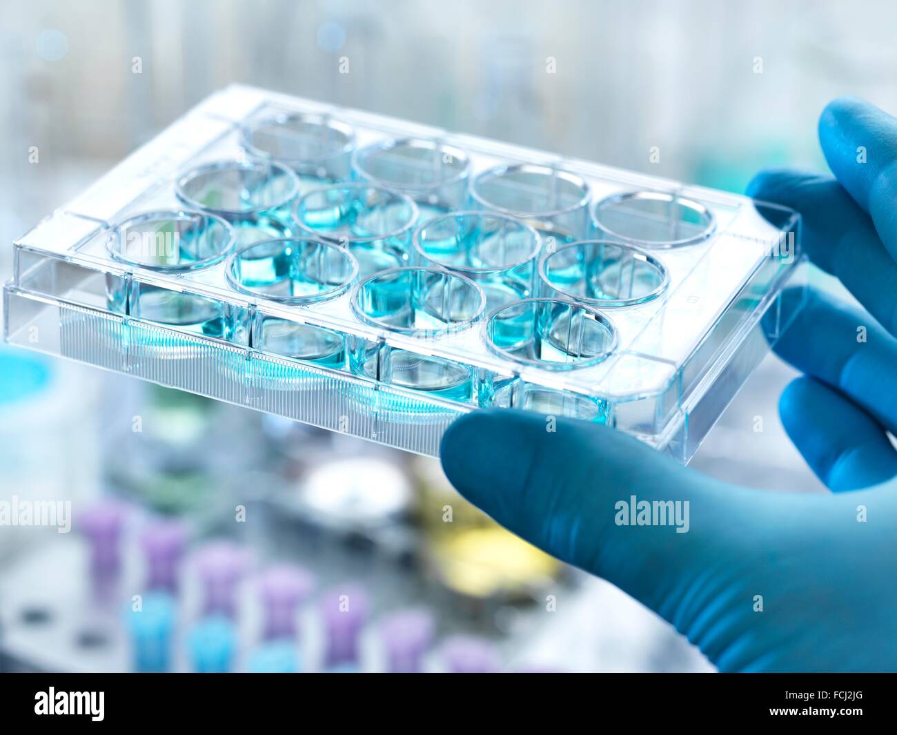 PROPERTY RELEASED. Scientist holding a multiwell plate containing ...