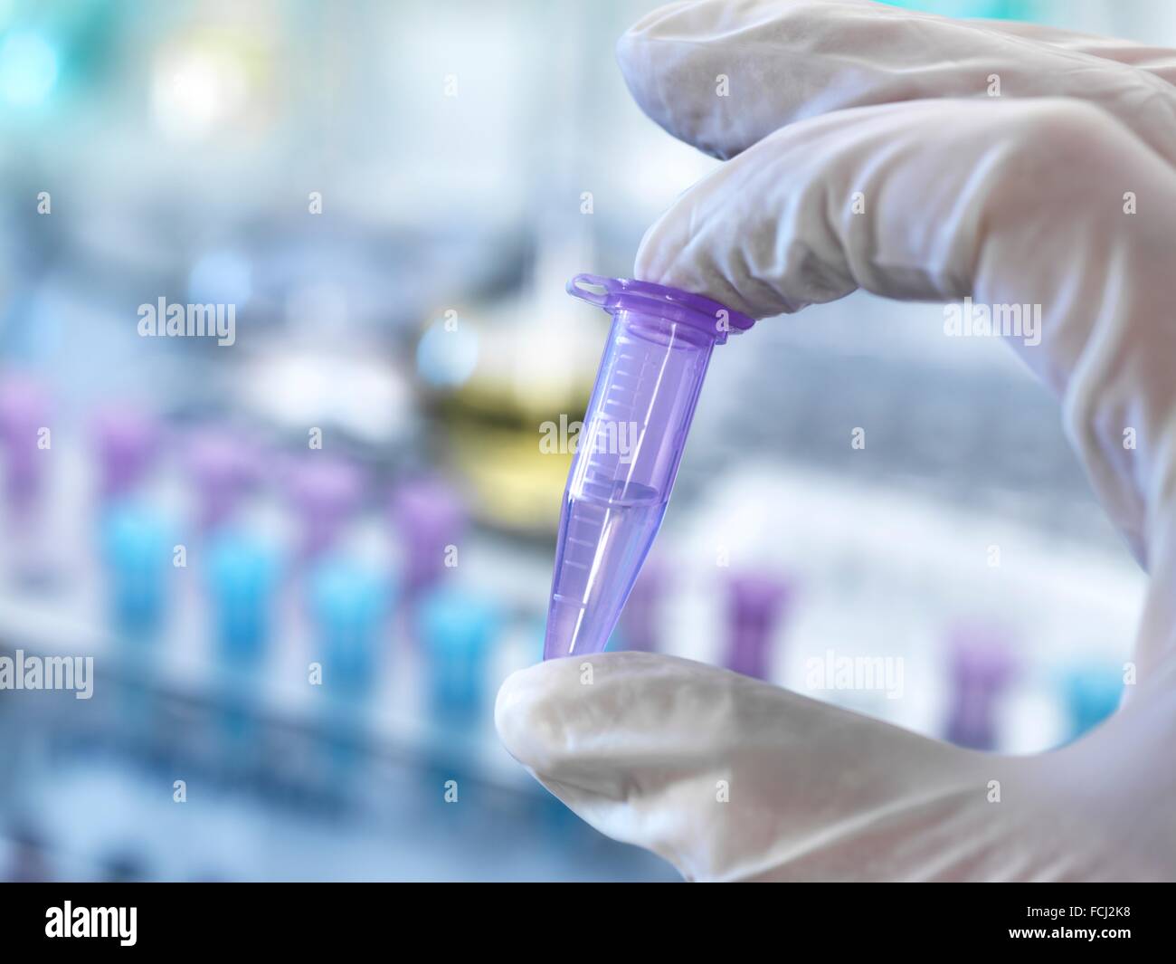PROPERTY RELEASED. Scientist preparing a sample in a eppendorf tube for ...