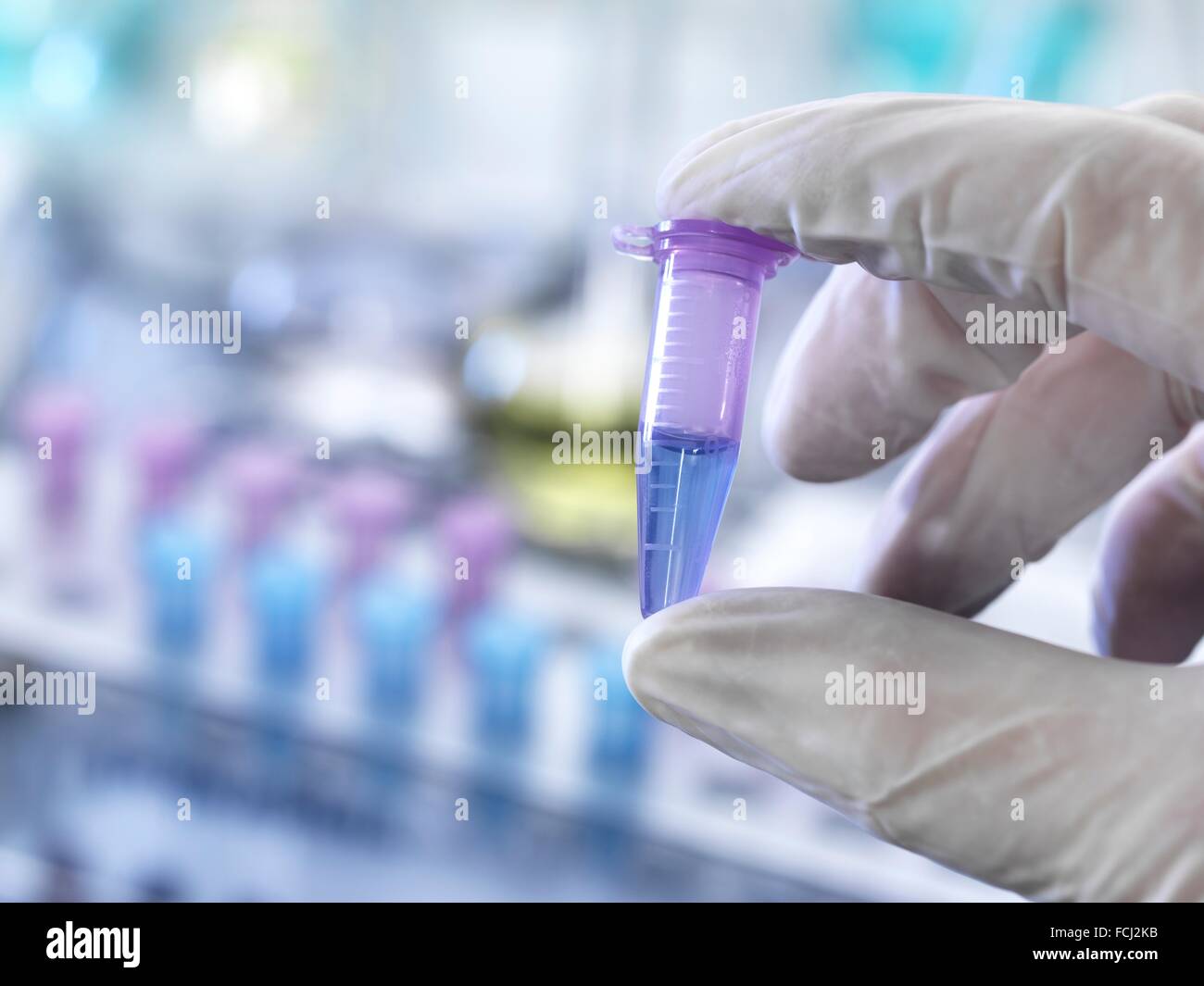 PROPERTY RELEASED. Scientist preparing a sample in a eppendorf tube for ...
