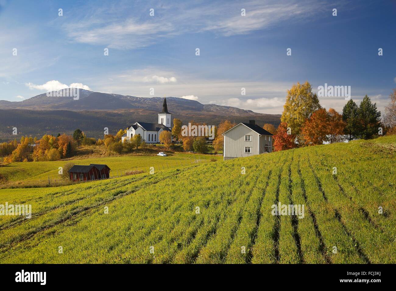 Kall hi-res stock photography and images - Alamy