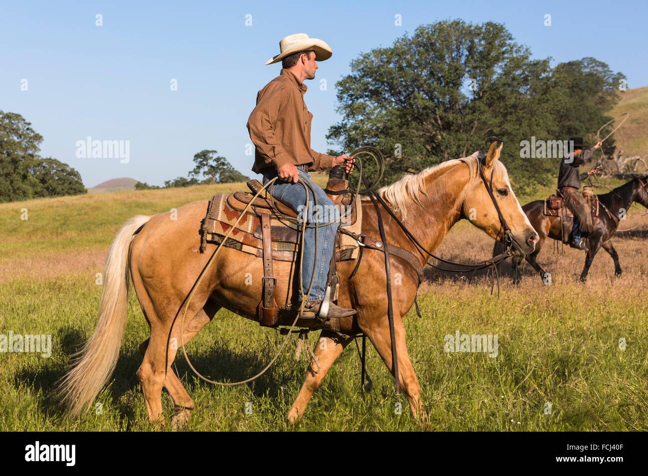 Young male cowboys hi-res stock photography and images - Alamy
