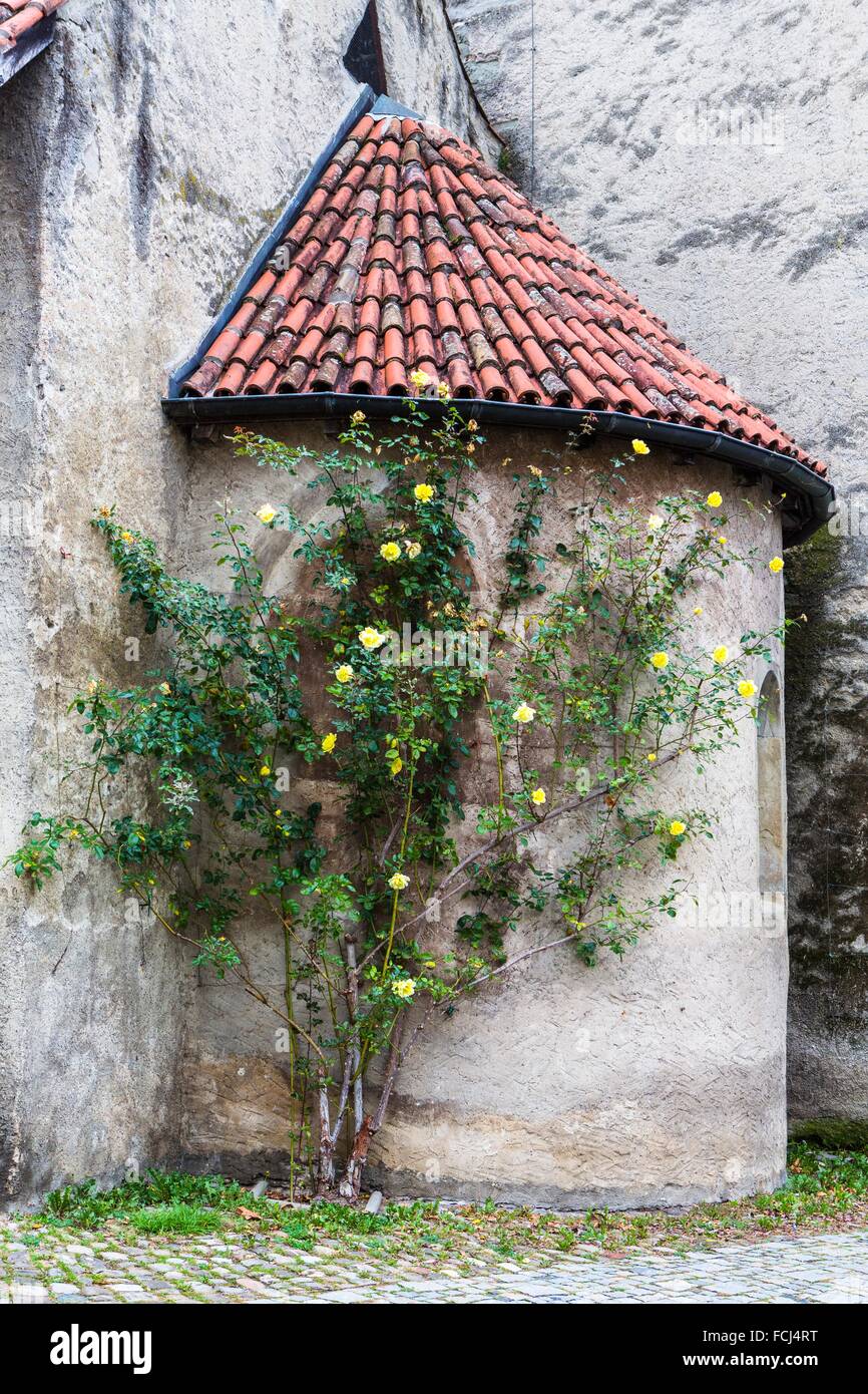 Detail of the Peterskirche (Church of St. Peter), the oldest church in ...