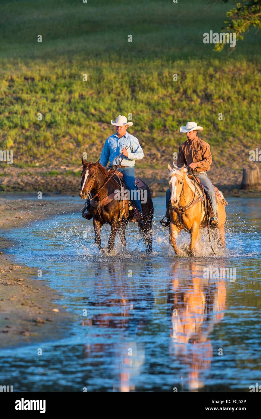 Two wranglers (Cowboys) on horses, riding through water, California ...