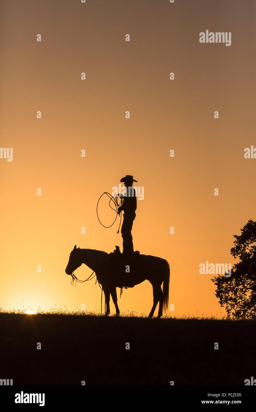 Cowboy Lasso Silhouette High Resolution Stock Photography and Images ...