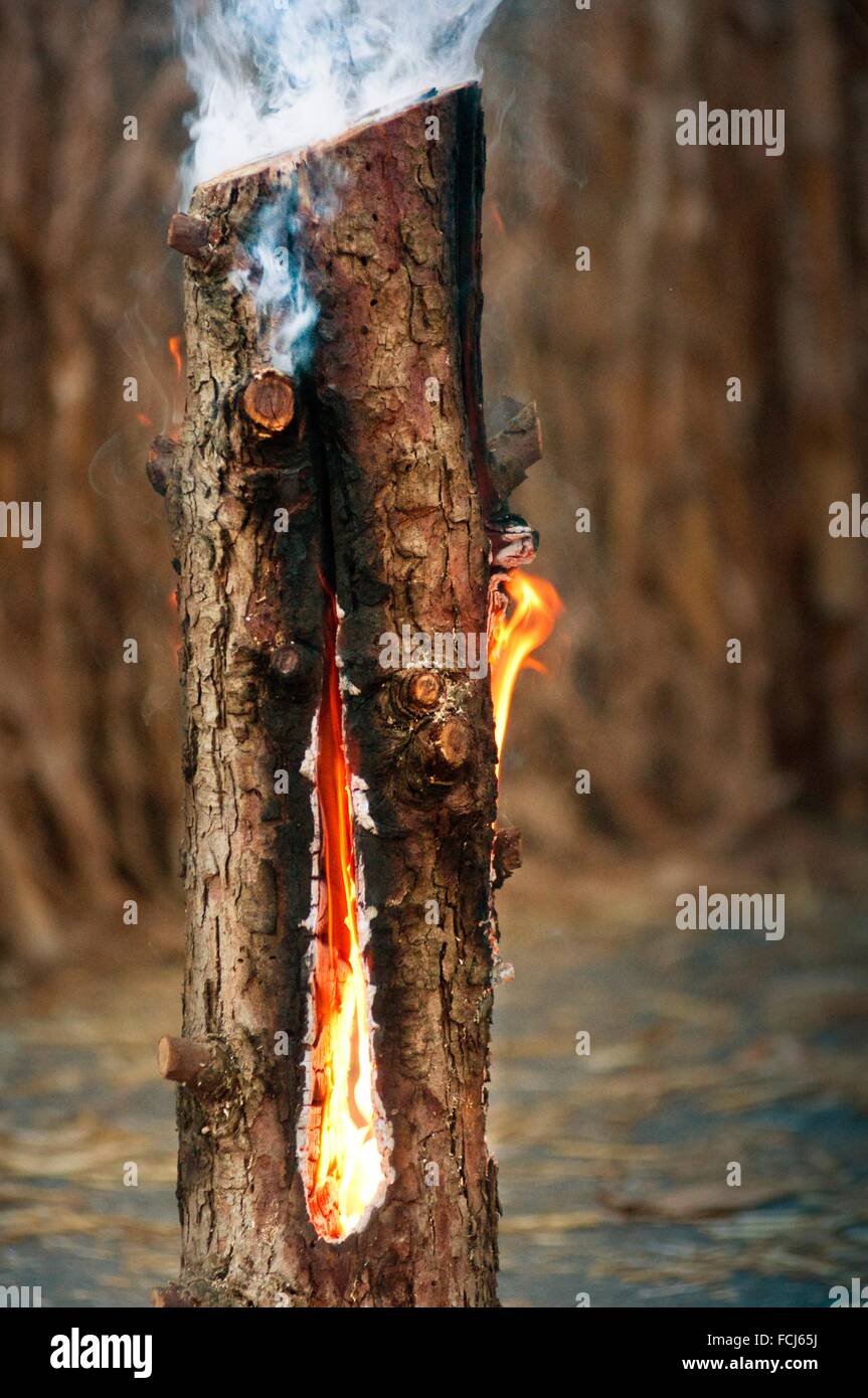 Fire Smouldering in a Tree Trunk Stock Photo - Alamy