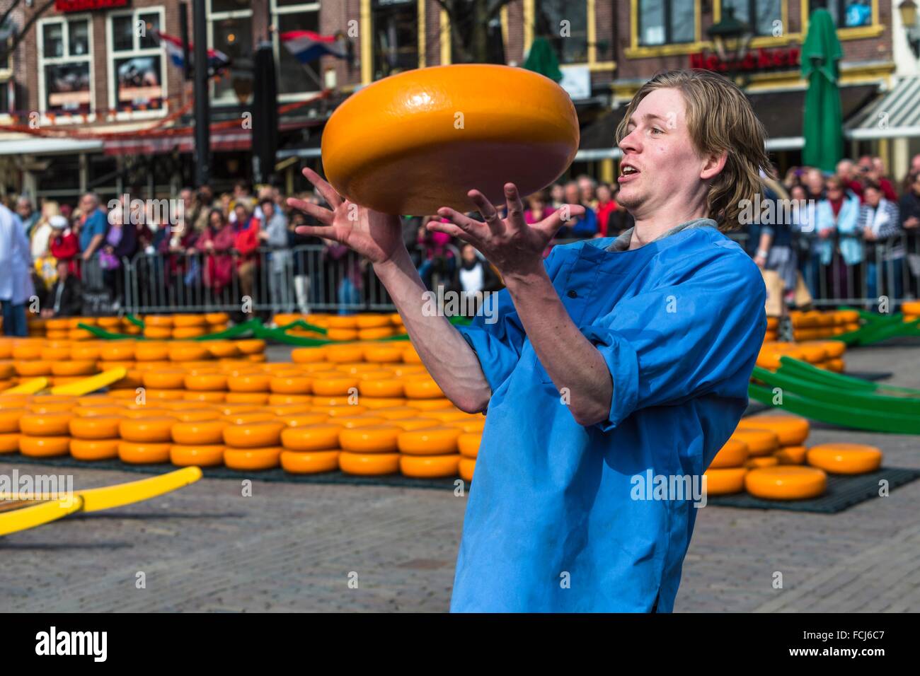 Young man cheese wheel hi-res stock photography and images - Alamy