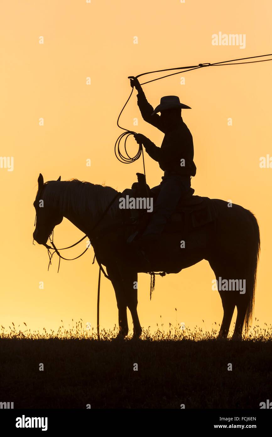 Sunset ranch horse riding california hi-res stock photography and ...