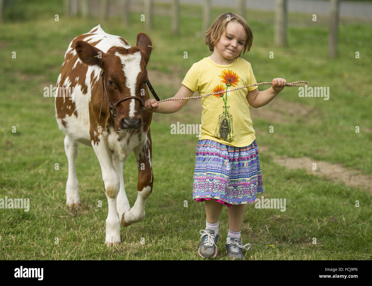 Little River, Canterbury, New Zealand. 23rd Jan, 2016. A young girl ...