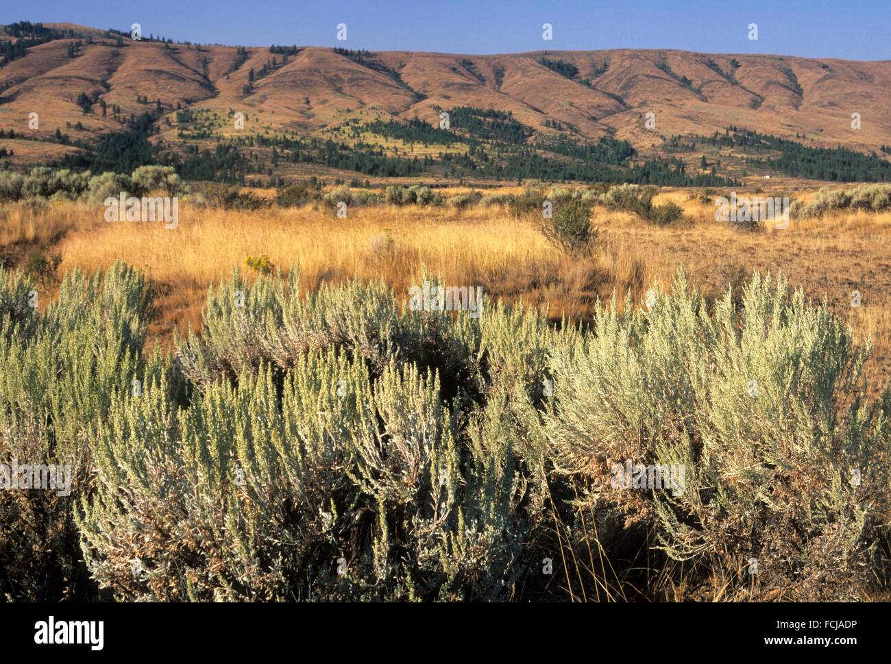 Kittitas washington hi-res stock photography and images - Alamy