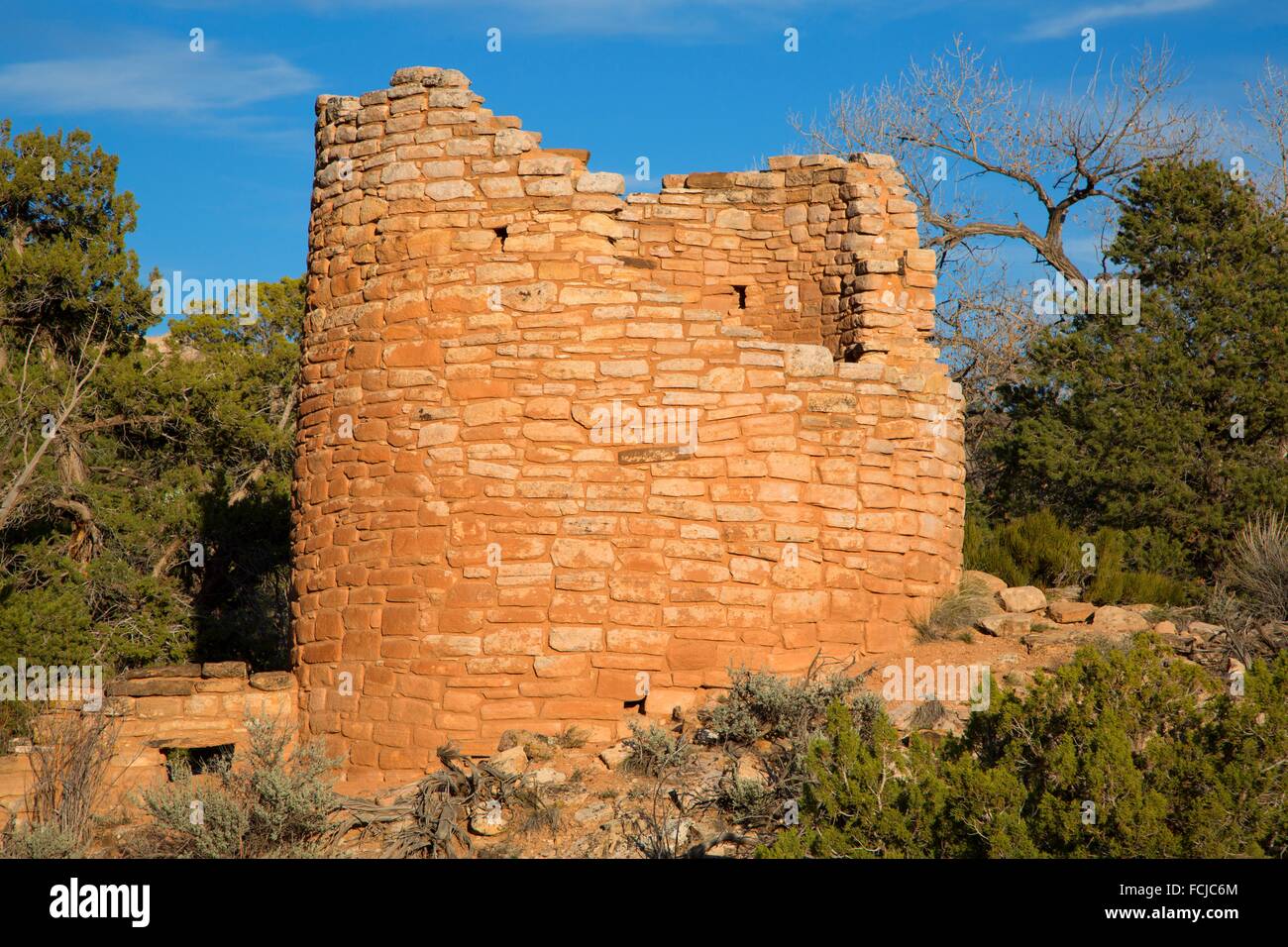 Cutthroat unit hi-res stock photography and images - Alamy