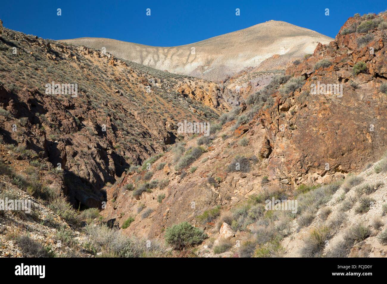 Calico basin trail hi-res stock photography and images - Alamy