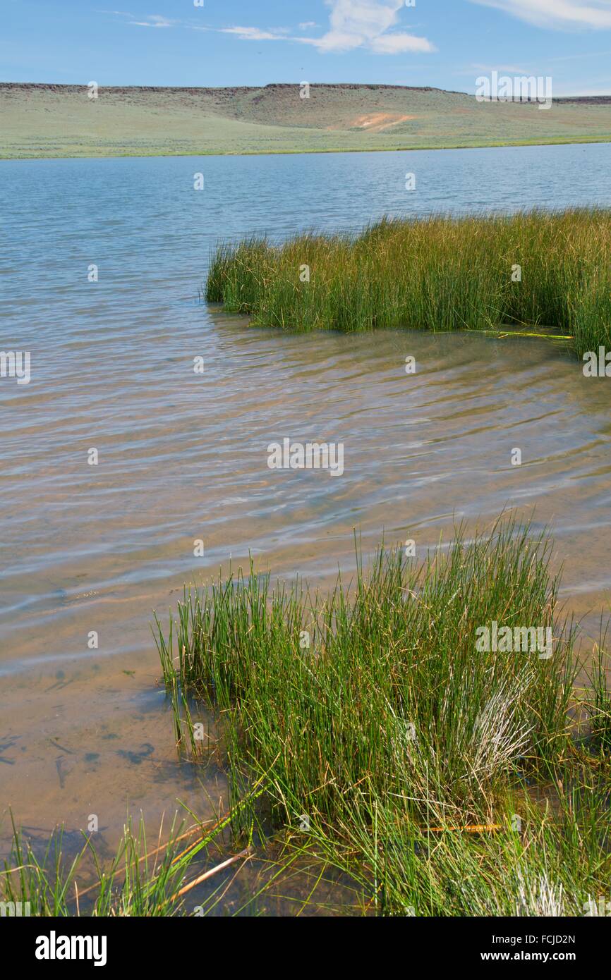 Sheldon refuge hi-res stock photography and images - Alamy