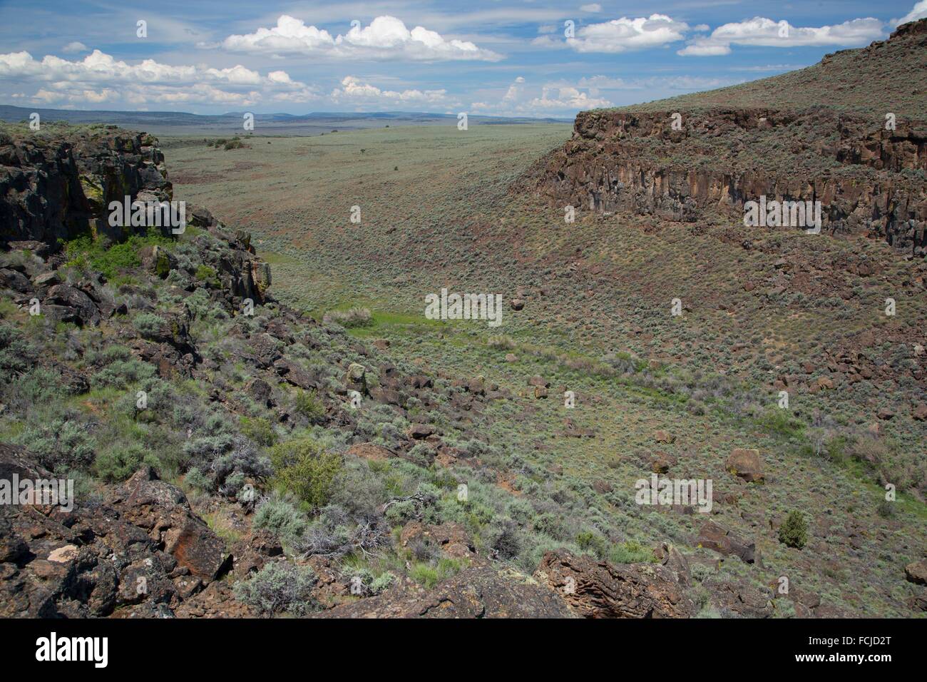 Sheldon Refuge High Resolution Stock Photography and Images - Alamy