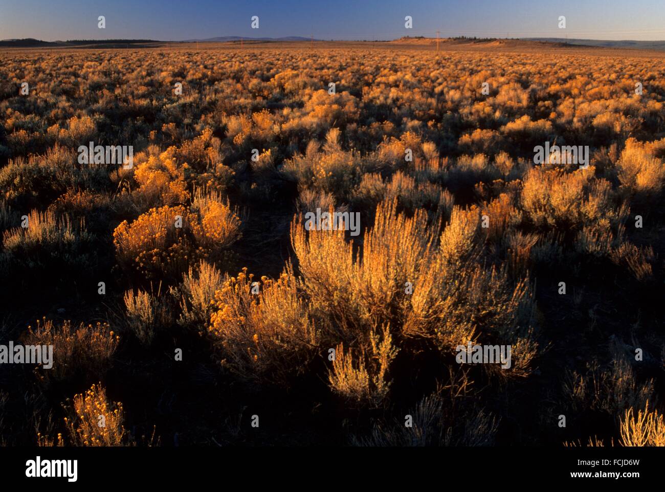 Flat valley floor or bottom hi-res stock photography and images - Alamy