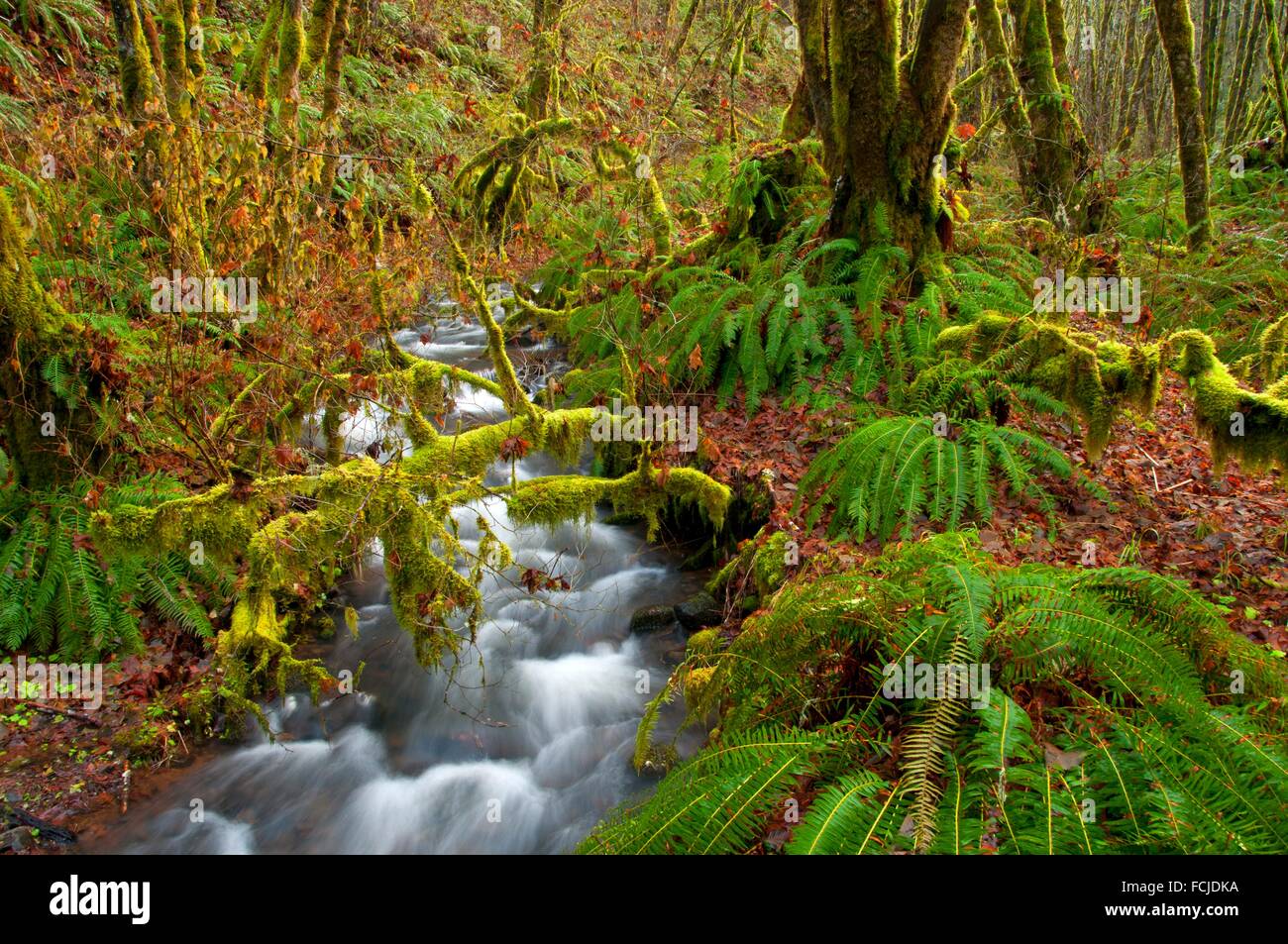 Plunkett park hi-res stock photography and images - Alamy