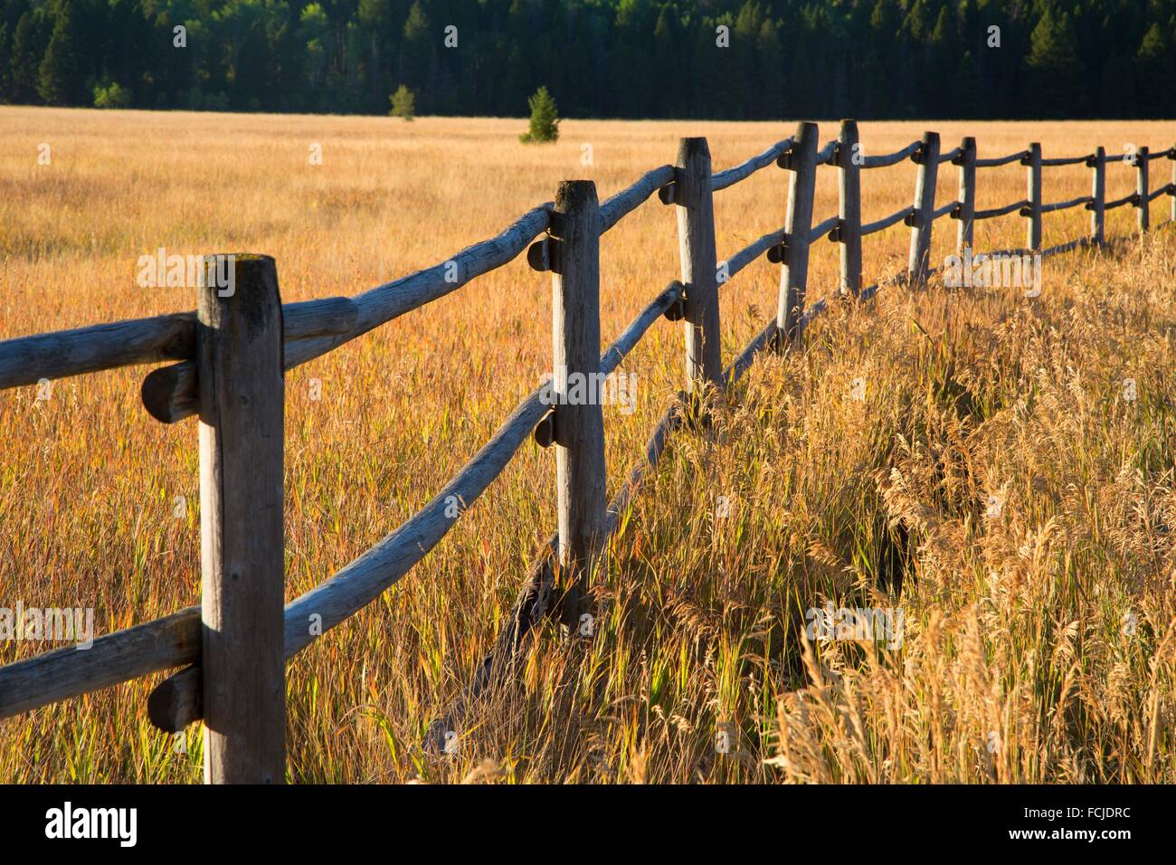 Meadow fence hi-res stock photography and images - Alamy