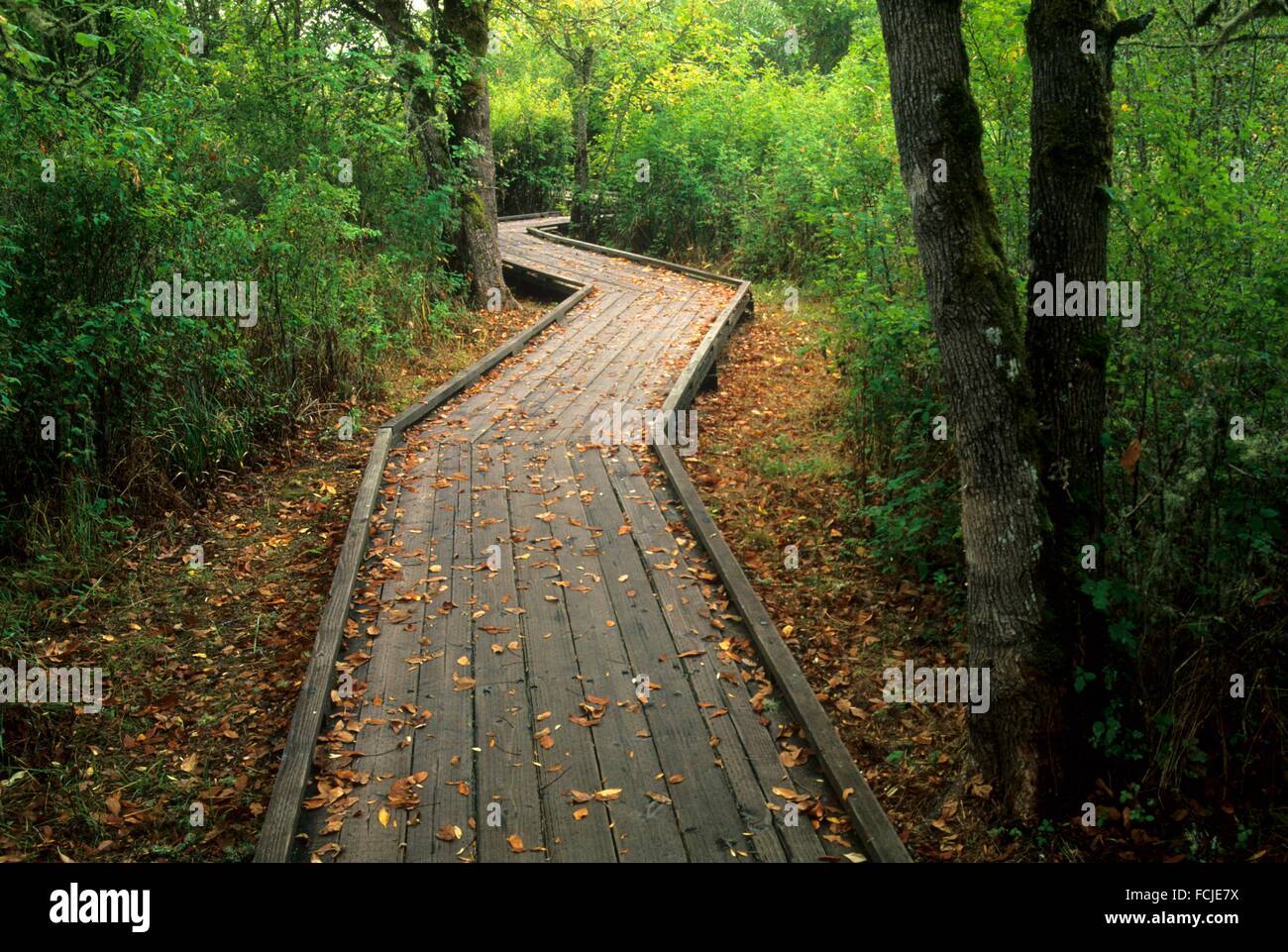 Jackson frazier wetland park hi-res stock photography and images - Alamy