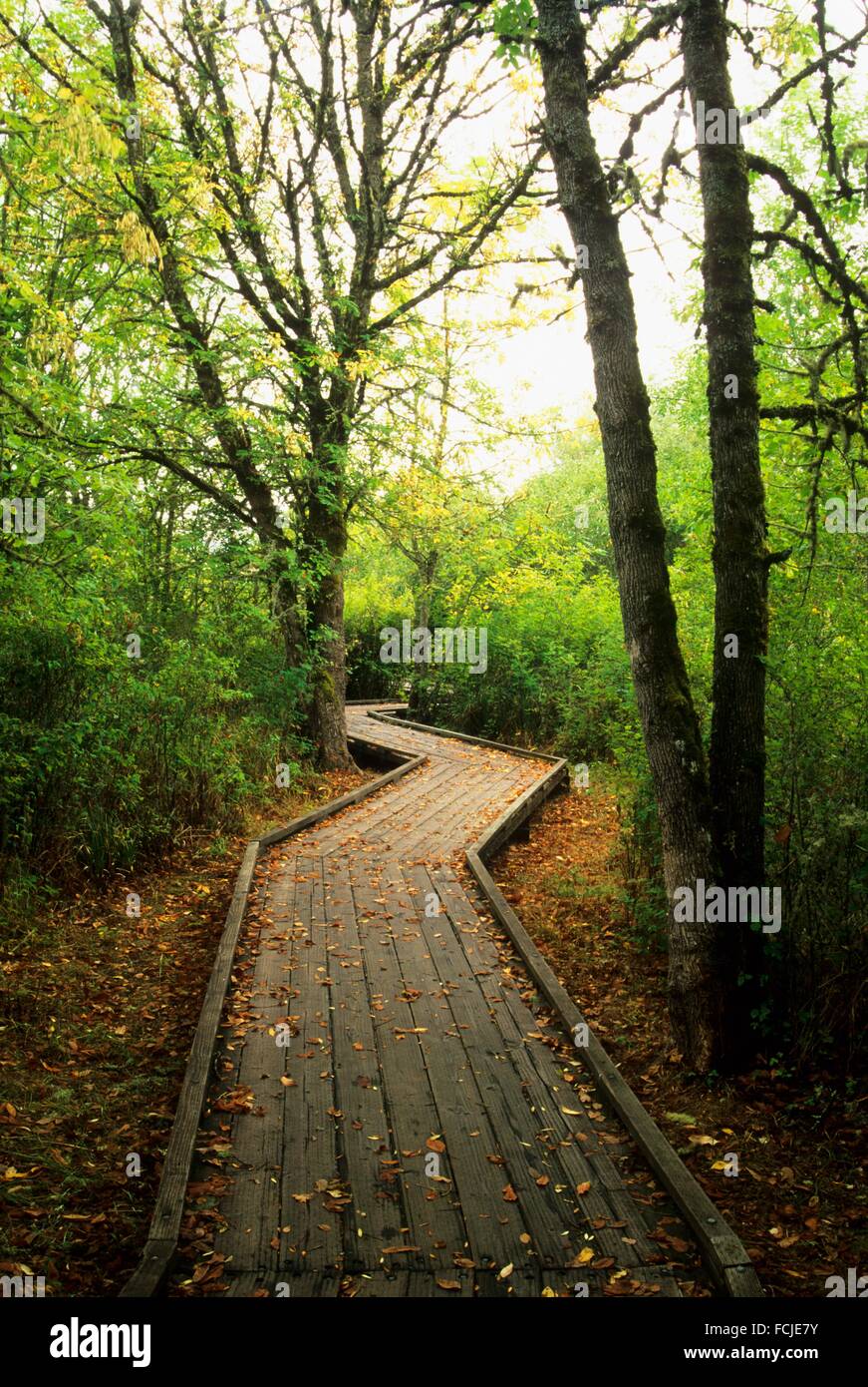 Jackson frazier wetland park hi-res stock photography and images - Alamy