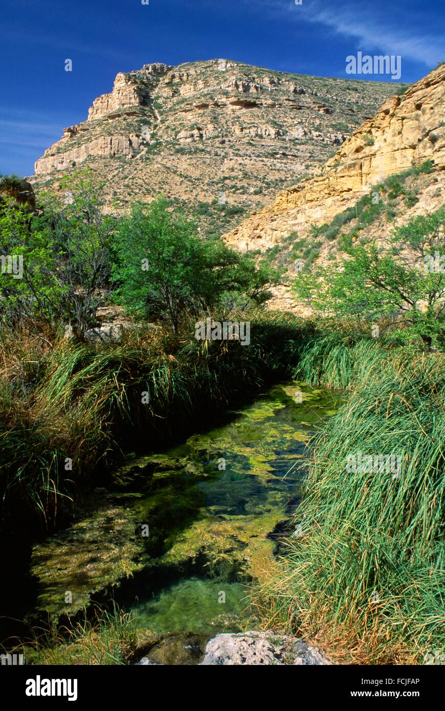 Sitting bull falls carlsbad hi-res stock photography and images - Alamy
