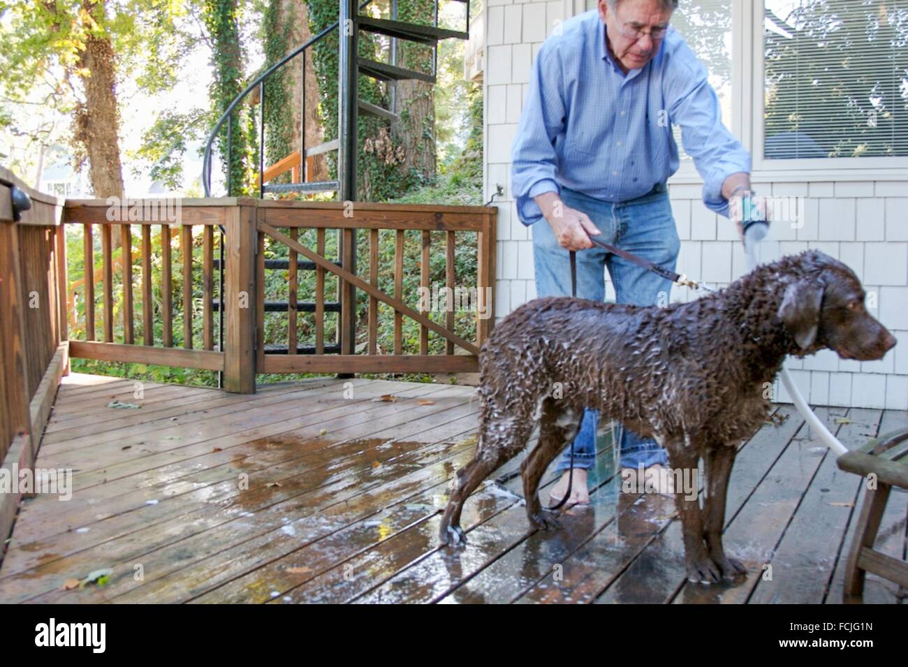 Man washing dog hi-res stock photography and images - Alamy