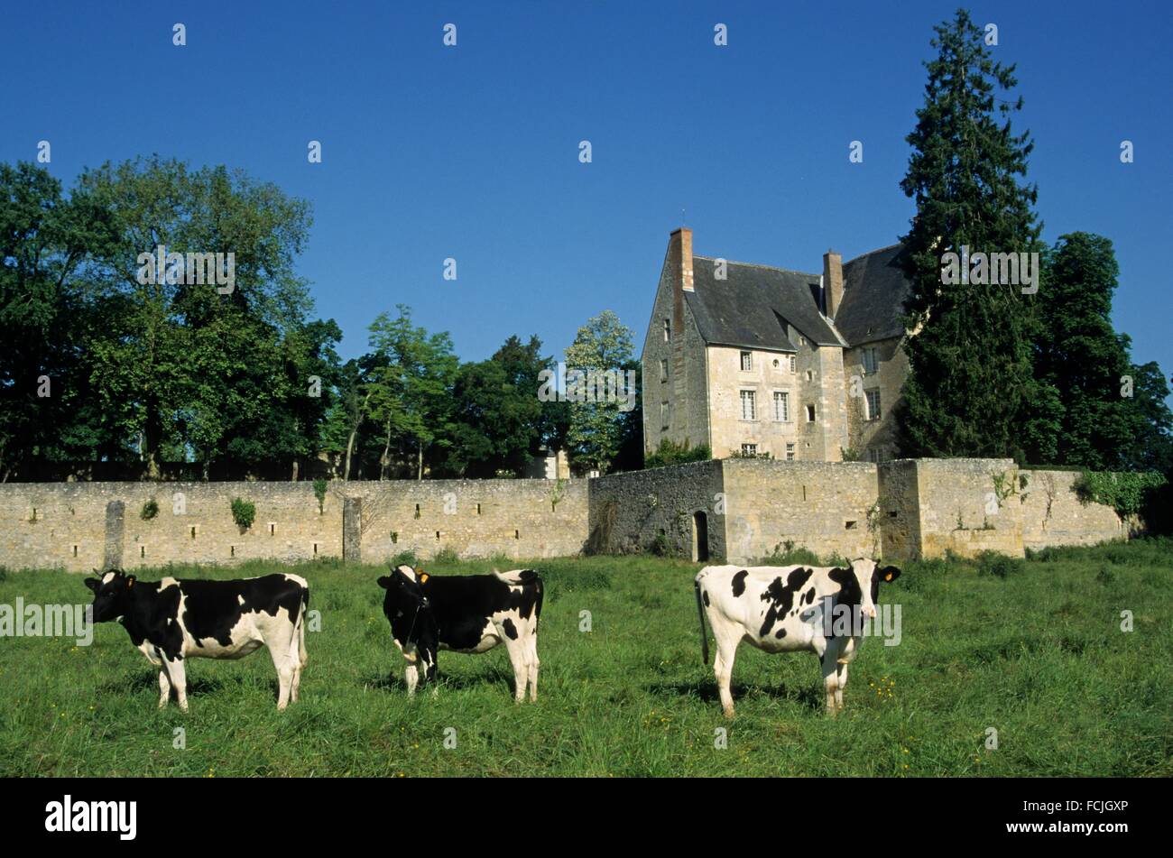 Chateau de sache hi-res stock photography and images - Alamy