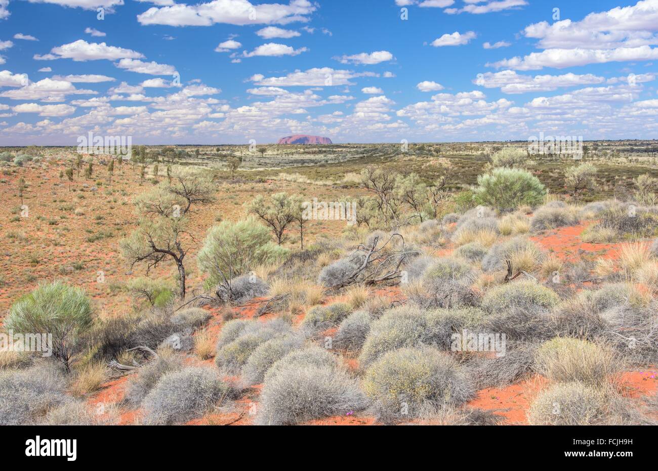Red desert of Uluru. Ayers Rock. Uluru-Kata Tjuta National Park ...