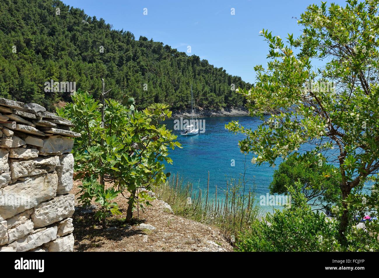 Pupnat High Resolution Stock Photography and Images - Alamy