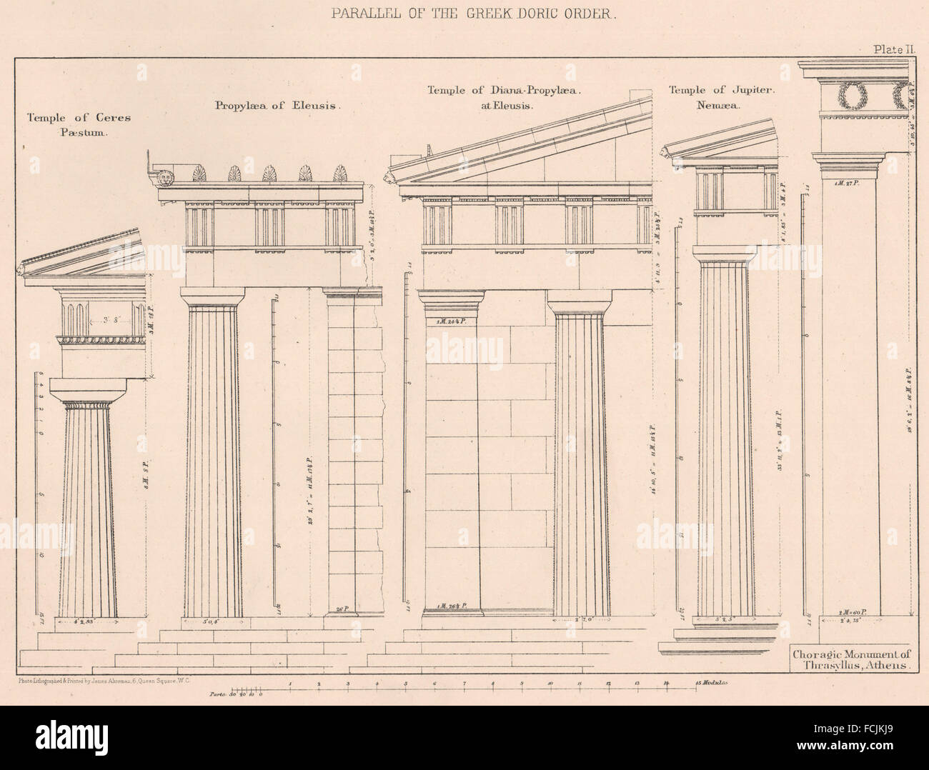 Doric Order Dimensions
