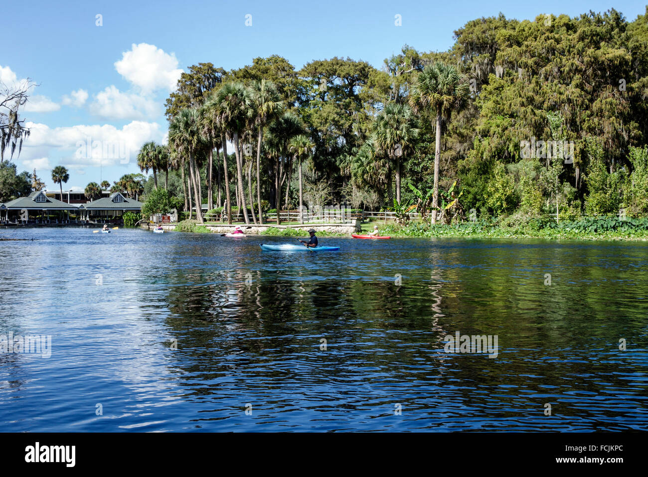Florida scenery hi-res stock photography and images - Alamy
