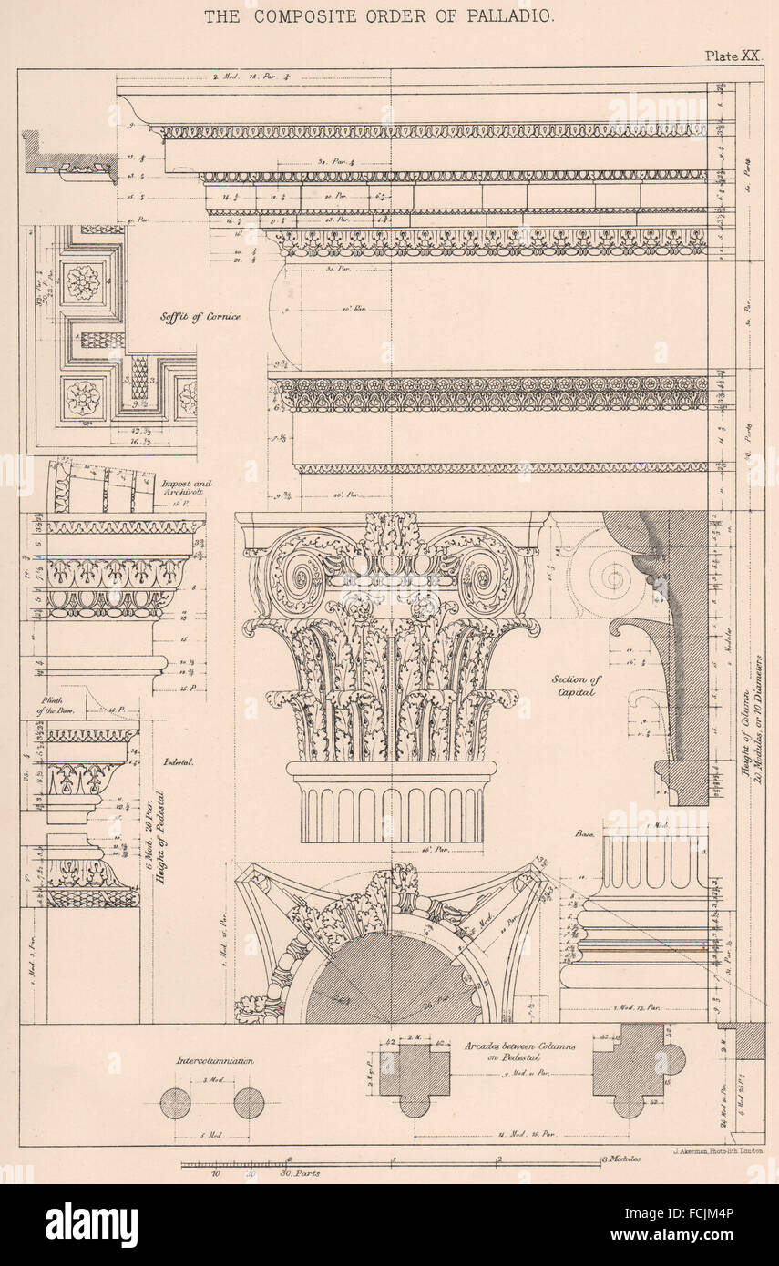 CLASSICAL ARCHITECTURE: The composite order of Palladio, antique print ...