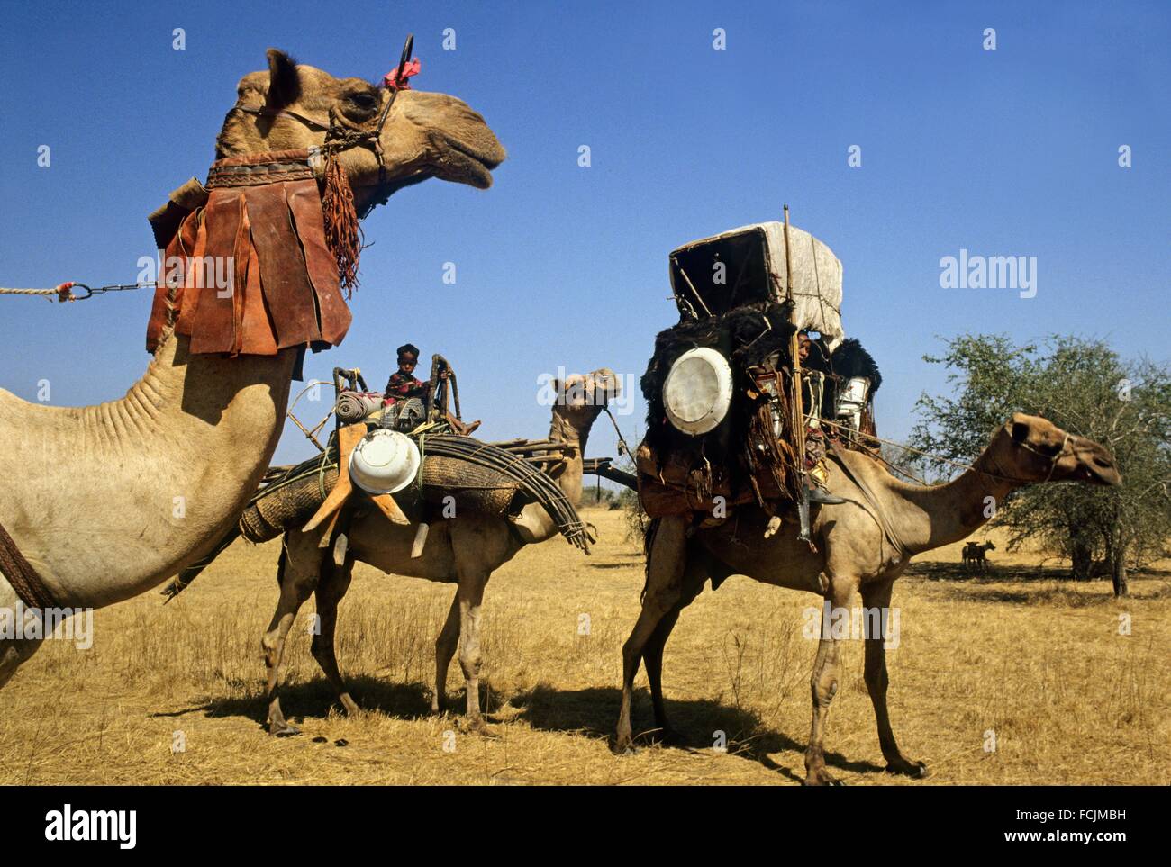 Chad central africa hi-res stock photography and images - Alamy