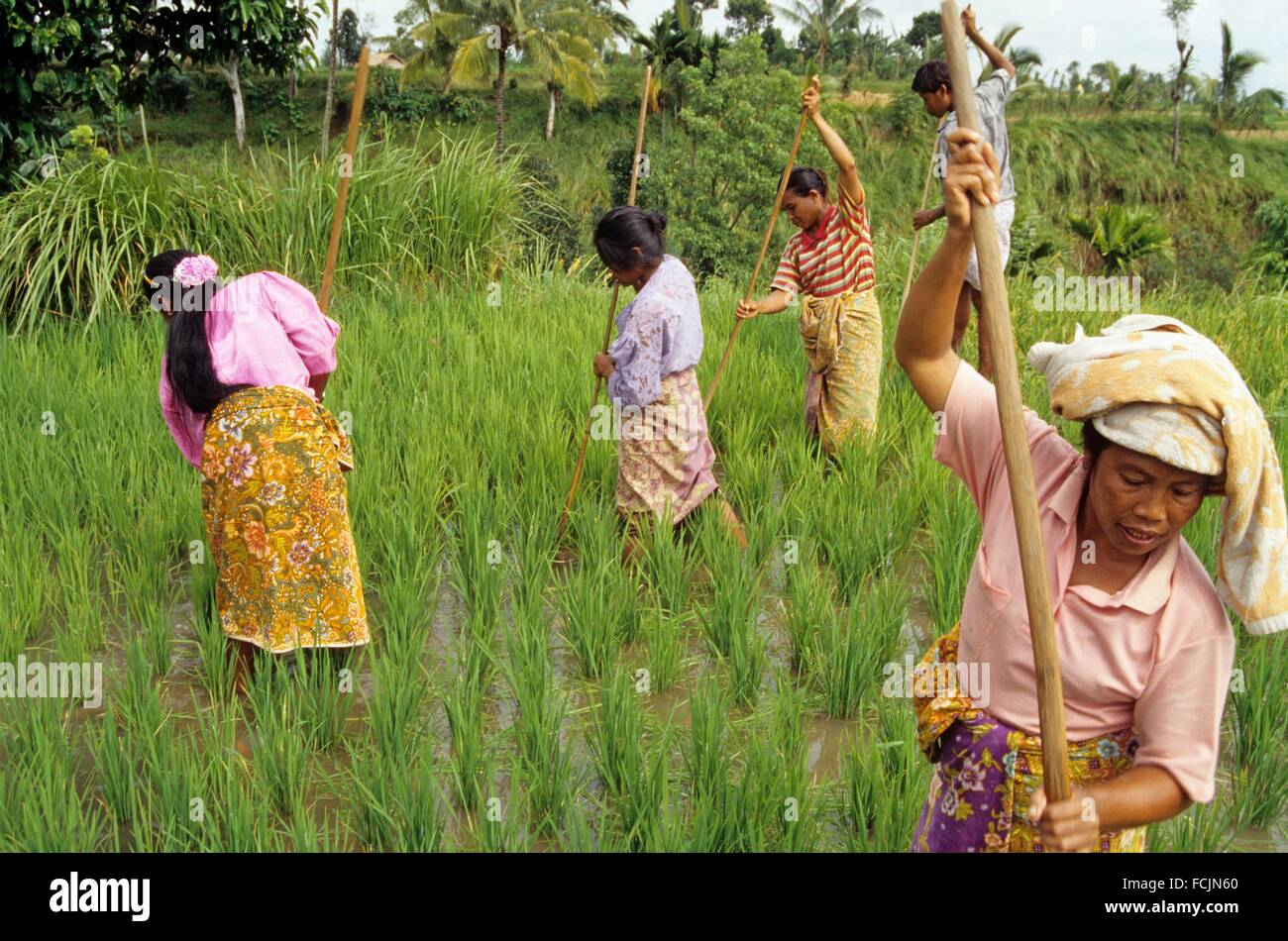 Lesser Sunda Archipelago High Resolution Stock Photography and Images ...