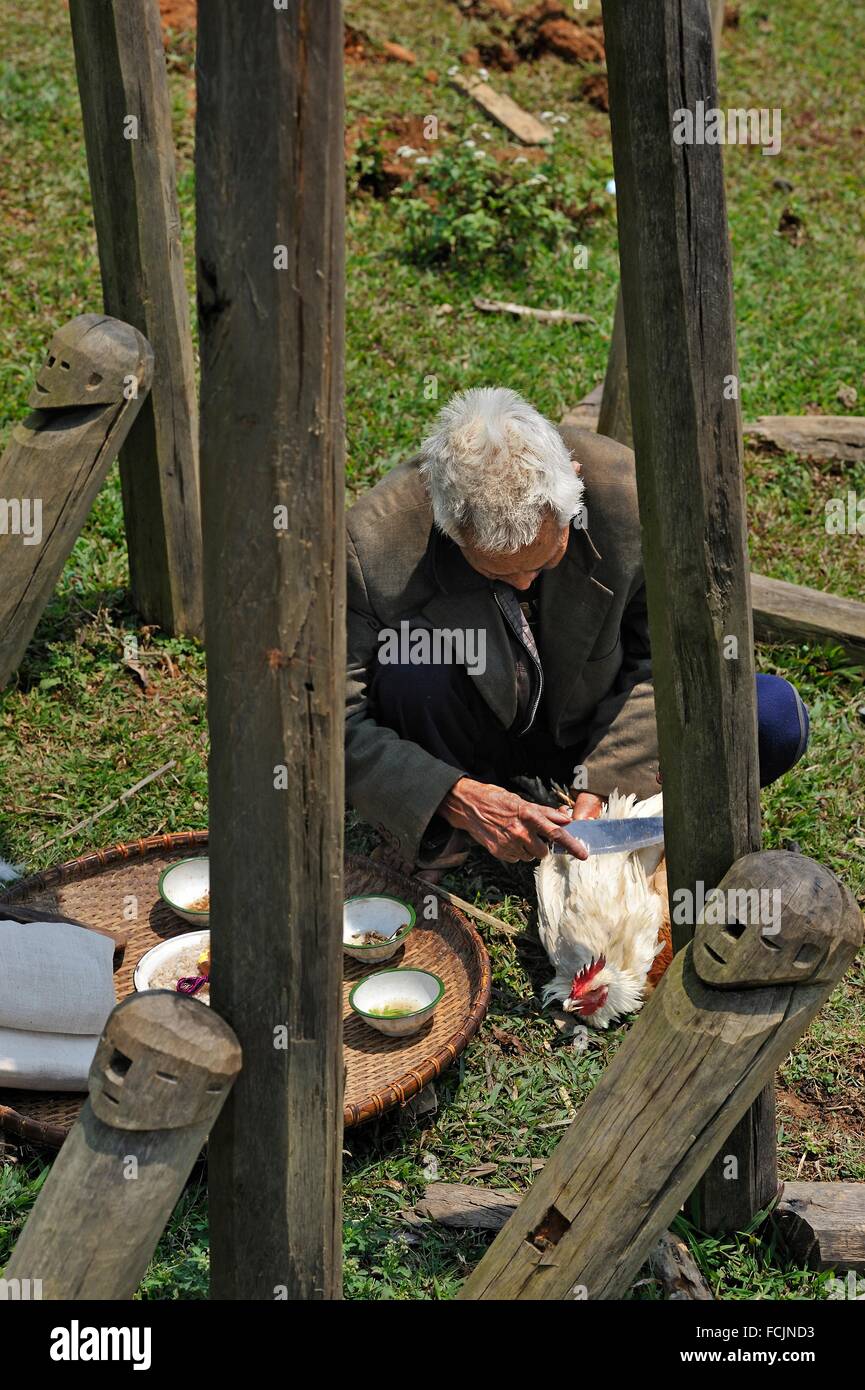 shaman preparing to sacrifice chicken in Akha tribe village in the ...