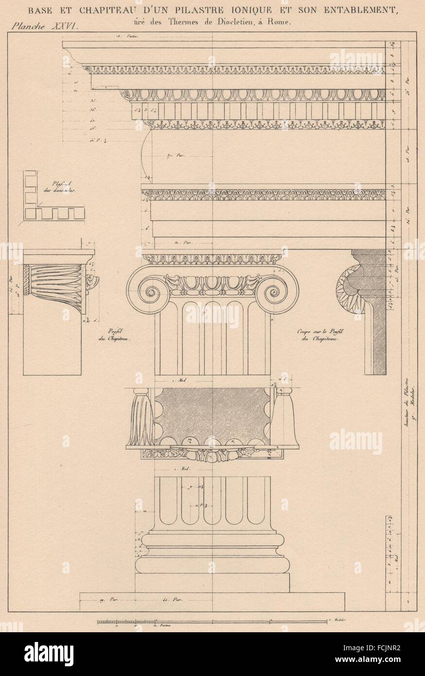 IONIC ORDER: Pilaster Base Capital Entablature. Thermae Diocletian ...