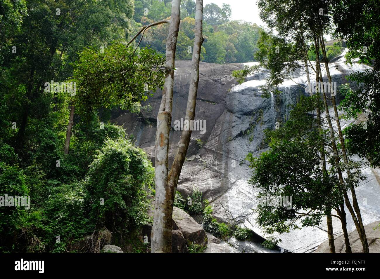 Kedah malaysia waterfall hi-res stock photography and images - Alamy
