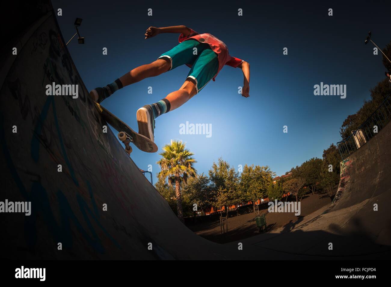 Young boy skateboarding at a skate park Stock Photo - Alamy
