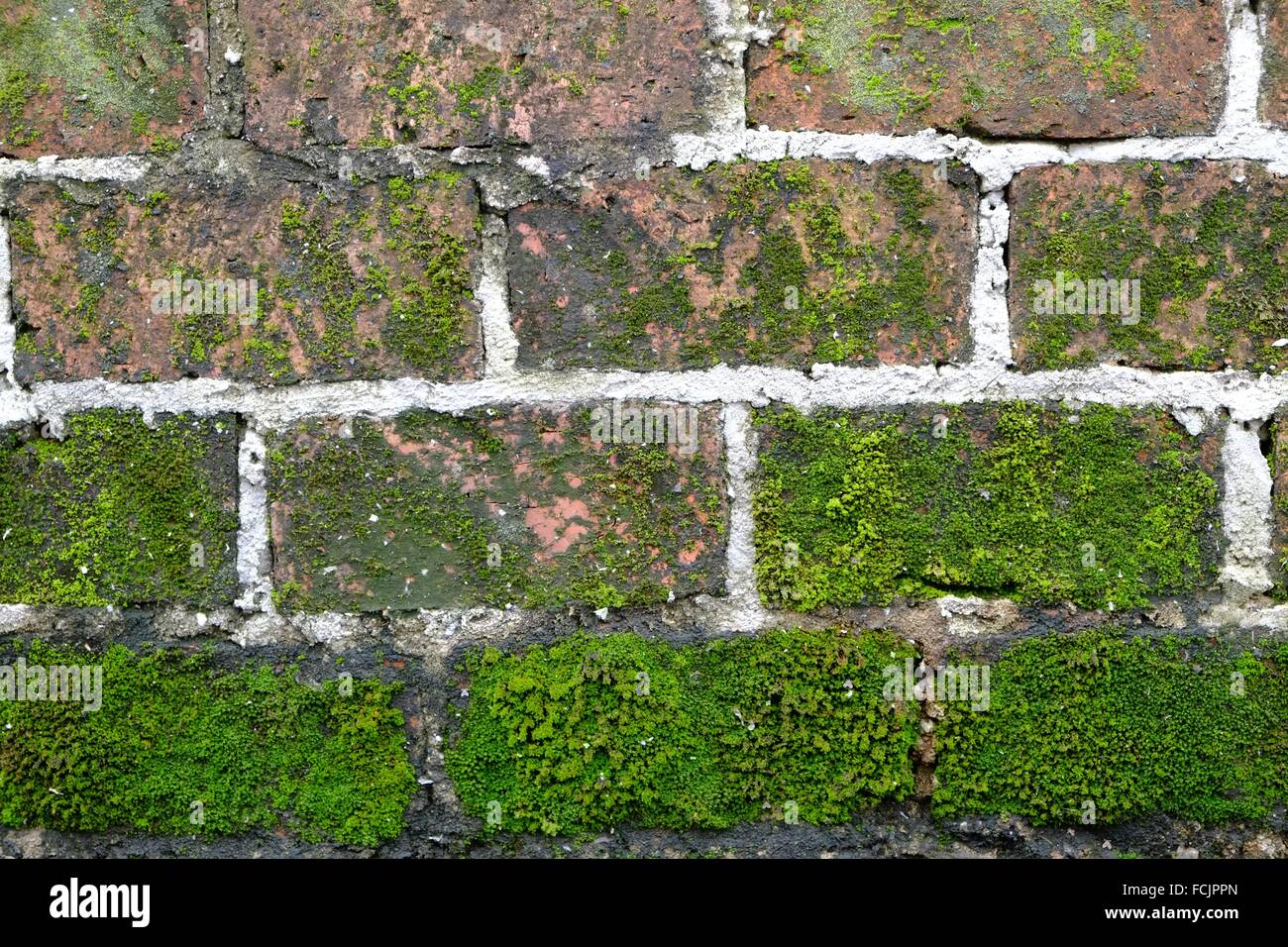 Antient architecture hi-res stock photography and images - Alamy