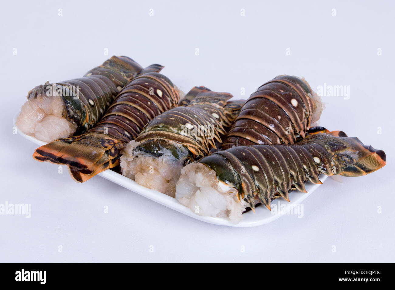 Five tails of a locust in a white dish Stock Photo - Alamy