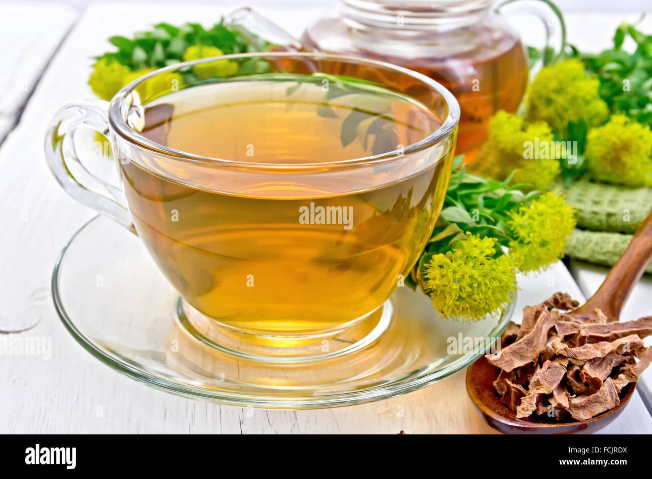 Rhodiola rosea hi-res stock photography and images - Alamy