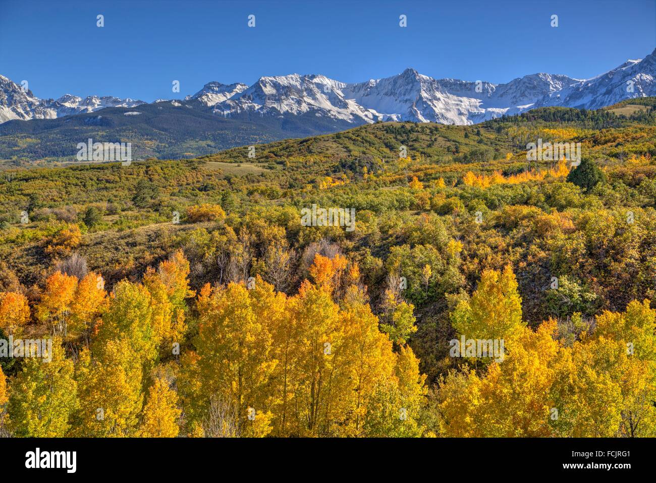 Fall Colors, off Highway 62, north of Ouray, Colorado, USA Stock Photo ...