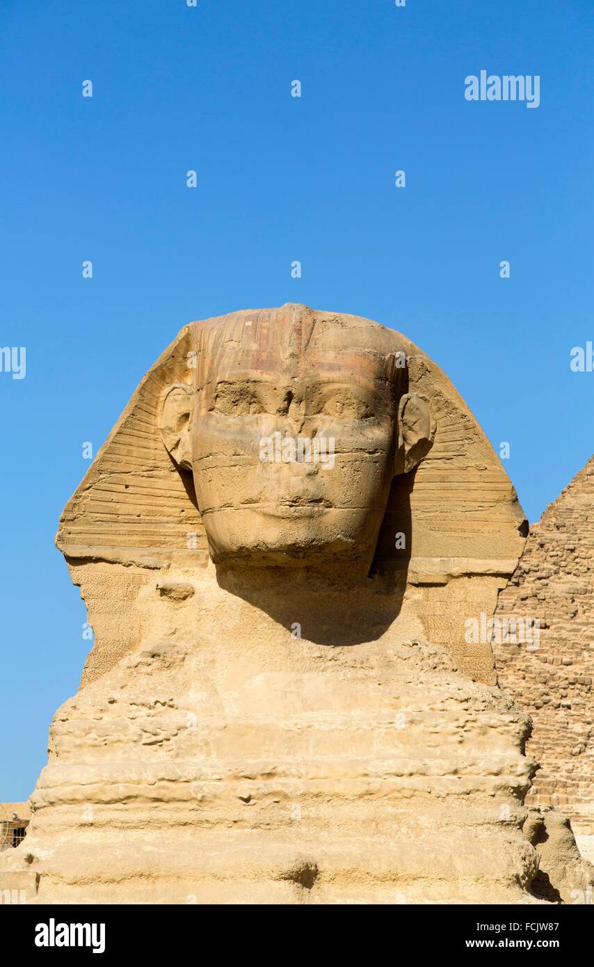Statue sphinx front day hi-res stock photography and images - Alamy