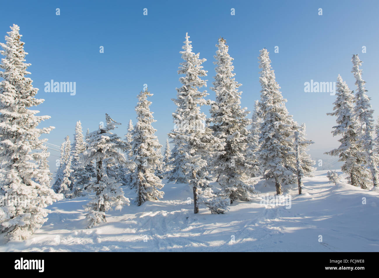 Beautiful winter landscape with snow covered trees Stock Photo - Alamy